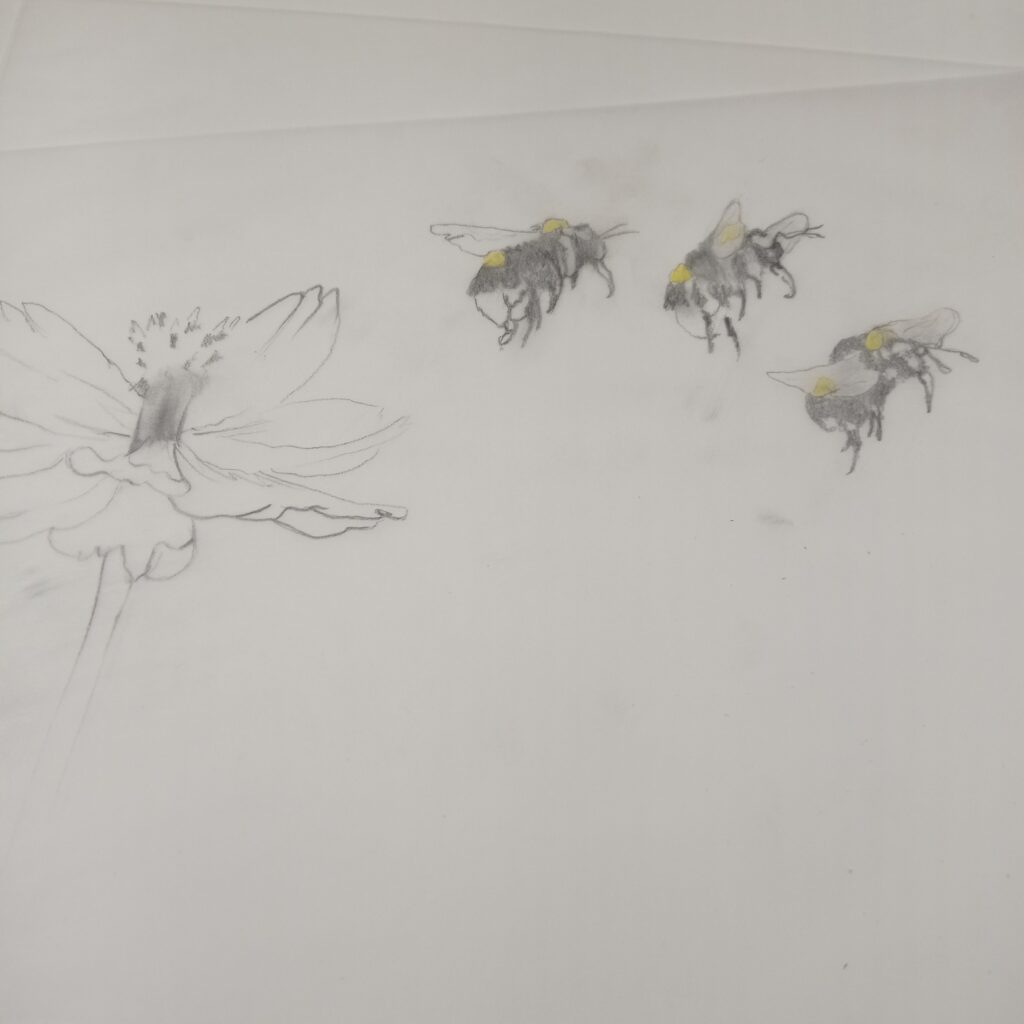 Creating ‘A Different Kind of Mind’ animation with Kate Sweeney – Cap-a ...